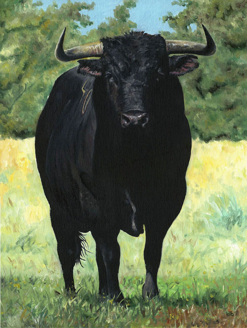 Foto de un toro - Imagui